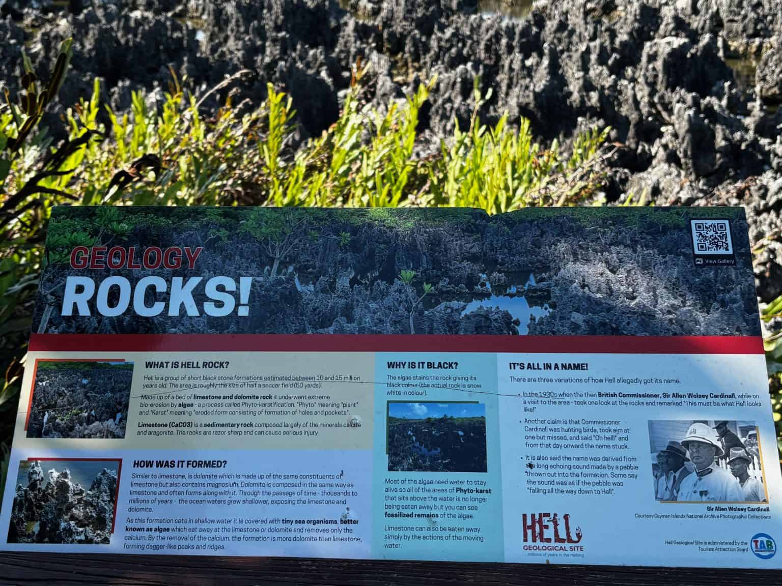 CAYMAN ISLANDS HELL - WHAT TO KNOW BEFORE YOU GO FROM AN EX-LOCAL [2025]