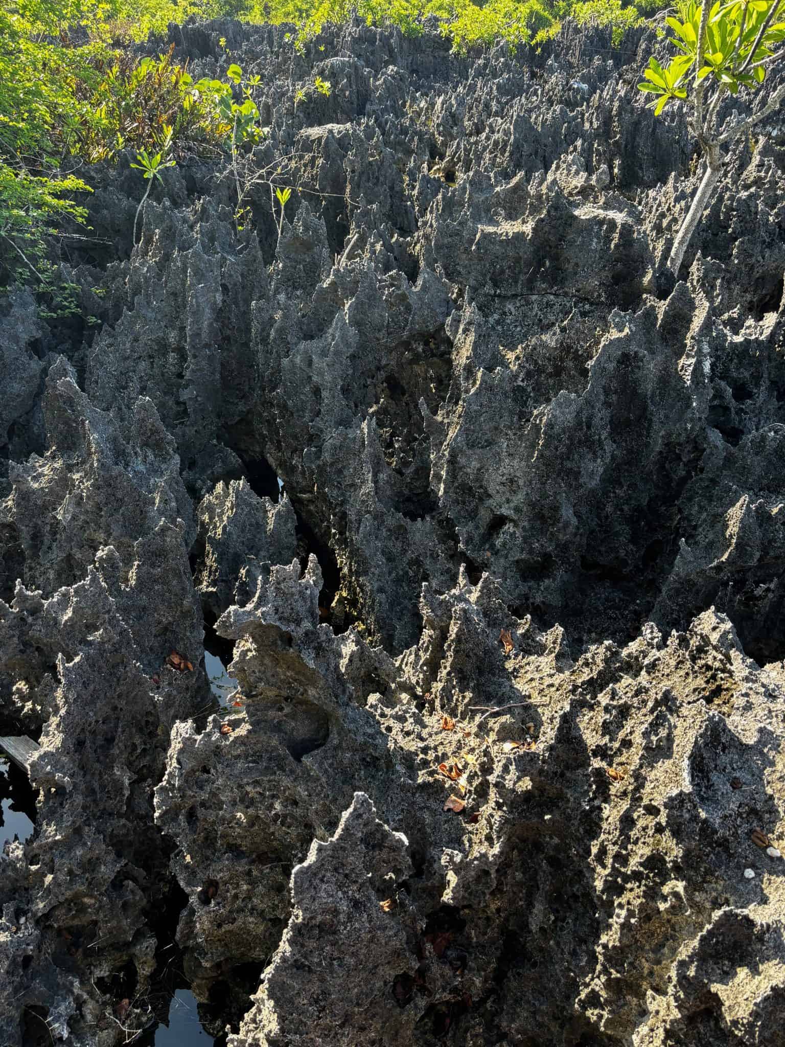 CAYMAN ISLANDS HELL - WHAT TO KNOW BEFORE YOU GO FROM AN EX-LOCAL [2025]